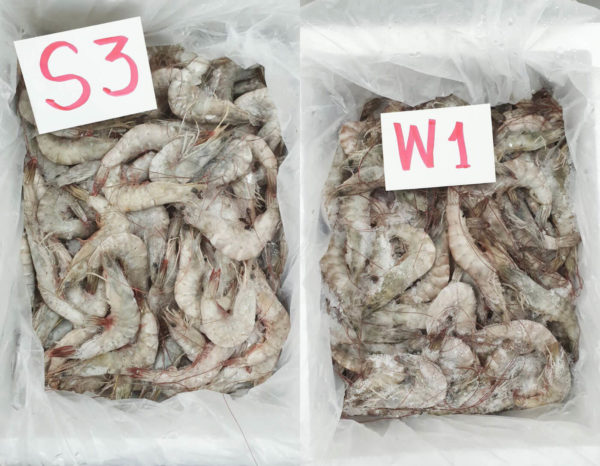 Our Product & Service - PPN SEAFOOD